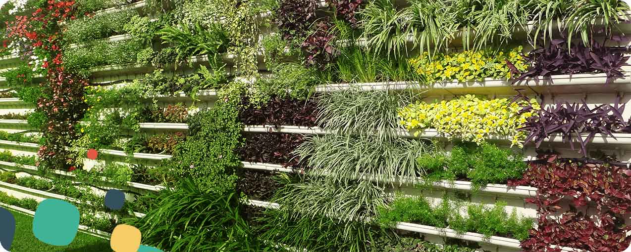 Parede verde: como começar? - Blog Plastprime